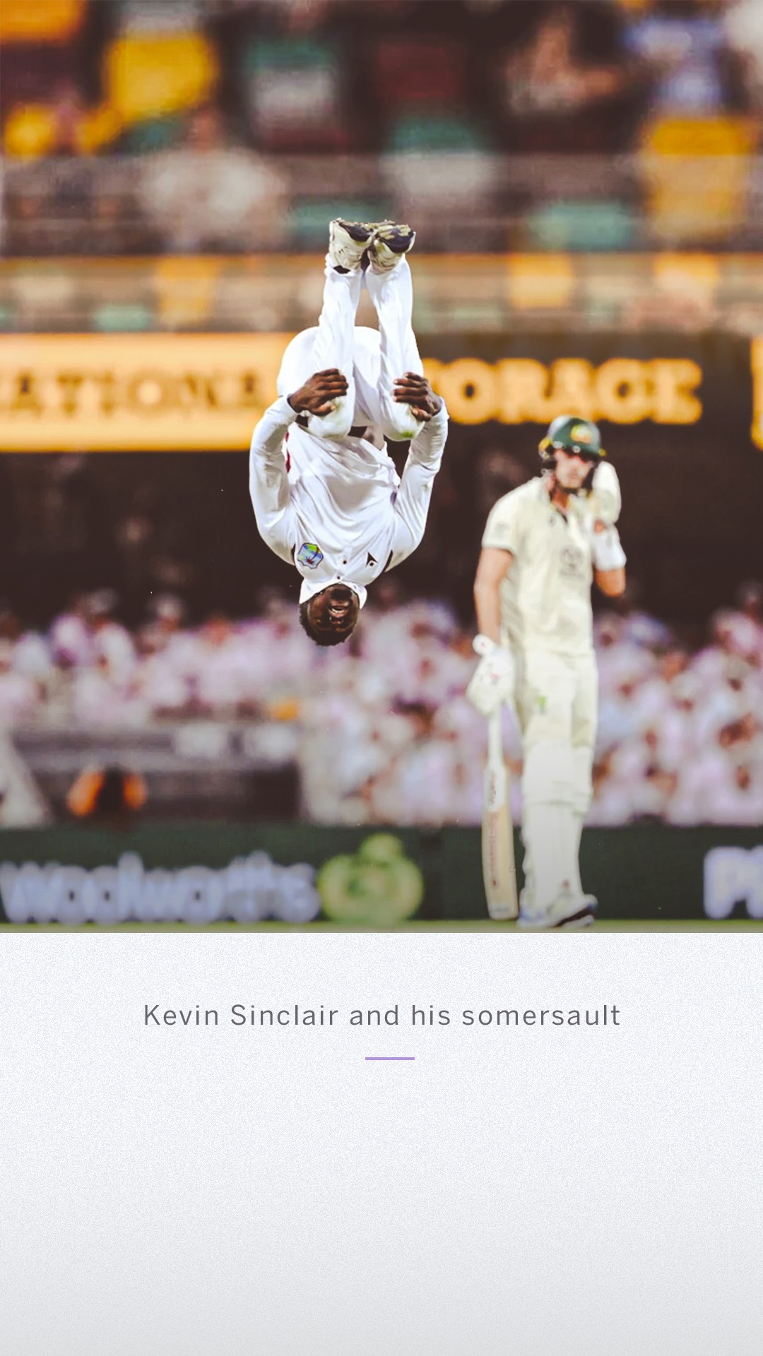 Iconic cricket celebrations in recent times